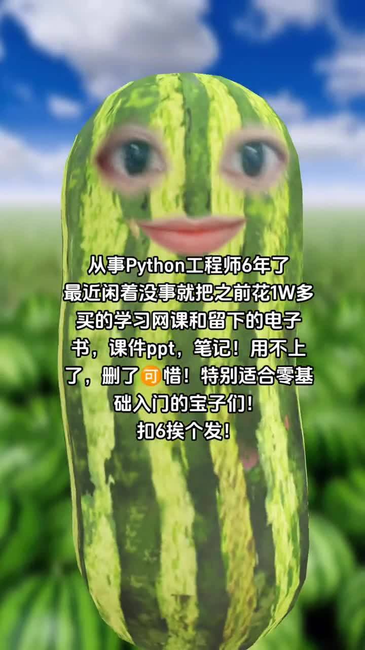 Python编程入门秘境:宝子们,勿错过这场知识盛宴