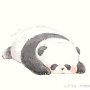郑爱小医 