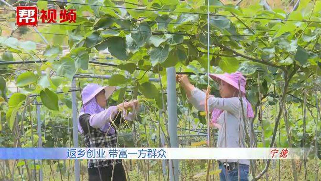 12头母猪到标准化养殖场!大学生毕业后返乡创业,带动村民致富