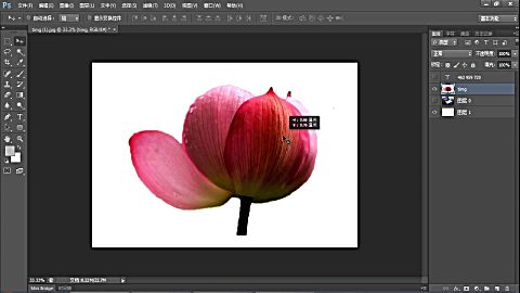 ps案例 ps设计 ps基础 ps新手教程 ps基础