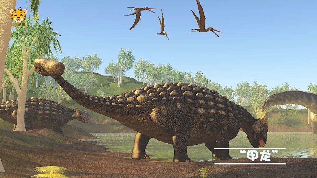 恐龙大世界 第21集 认识甲龙