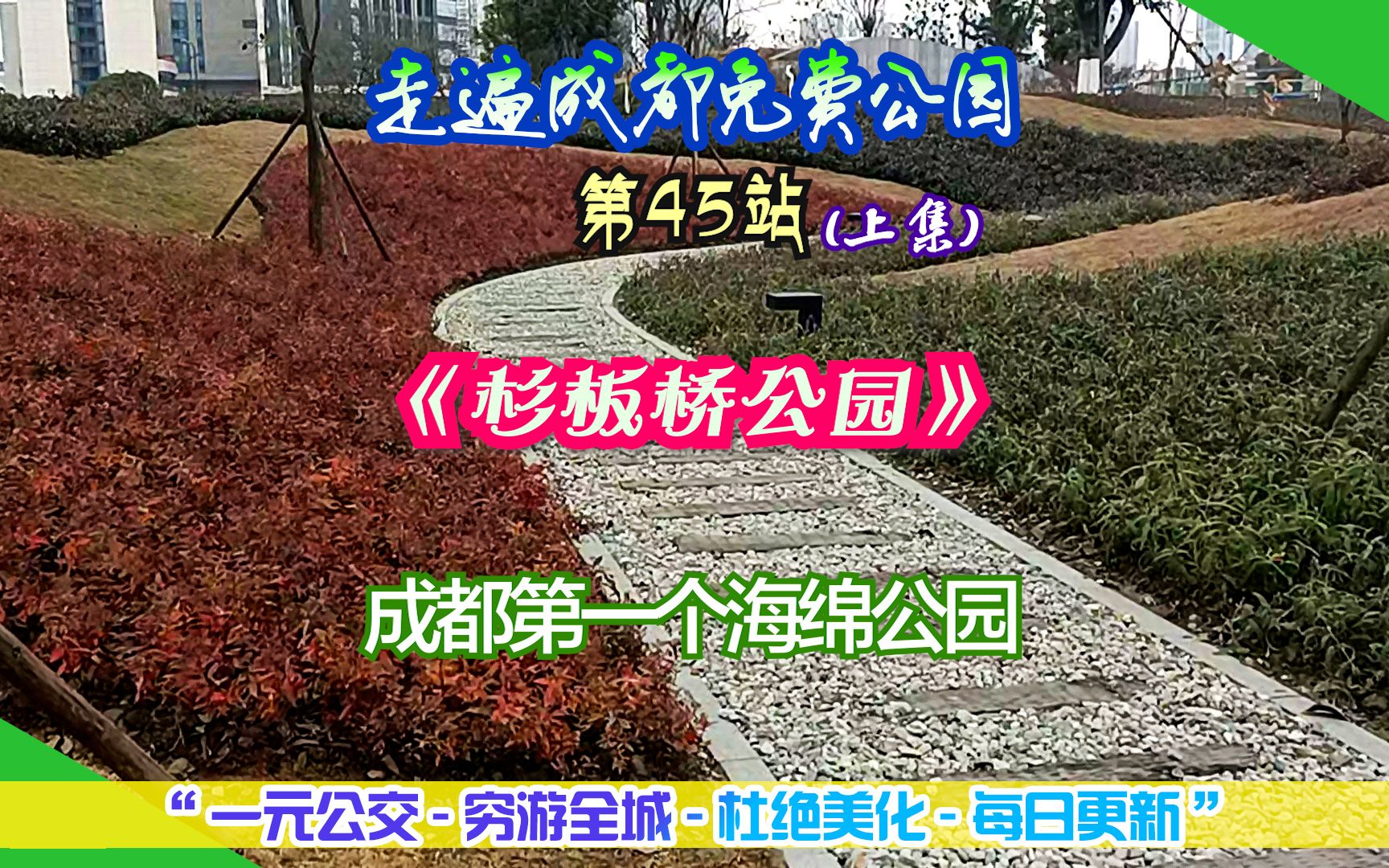 走遍成都免费公园第45站:杉板桥公园读作shan还是sha,疑惑中