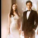 楚楚动人的梧桐1 