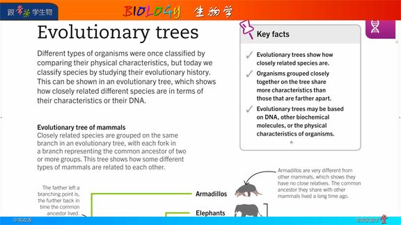 Biology 39 Evolutionary trees 进化树 跟常荣学生物学英文版 4K