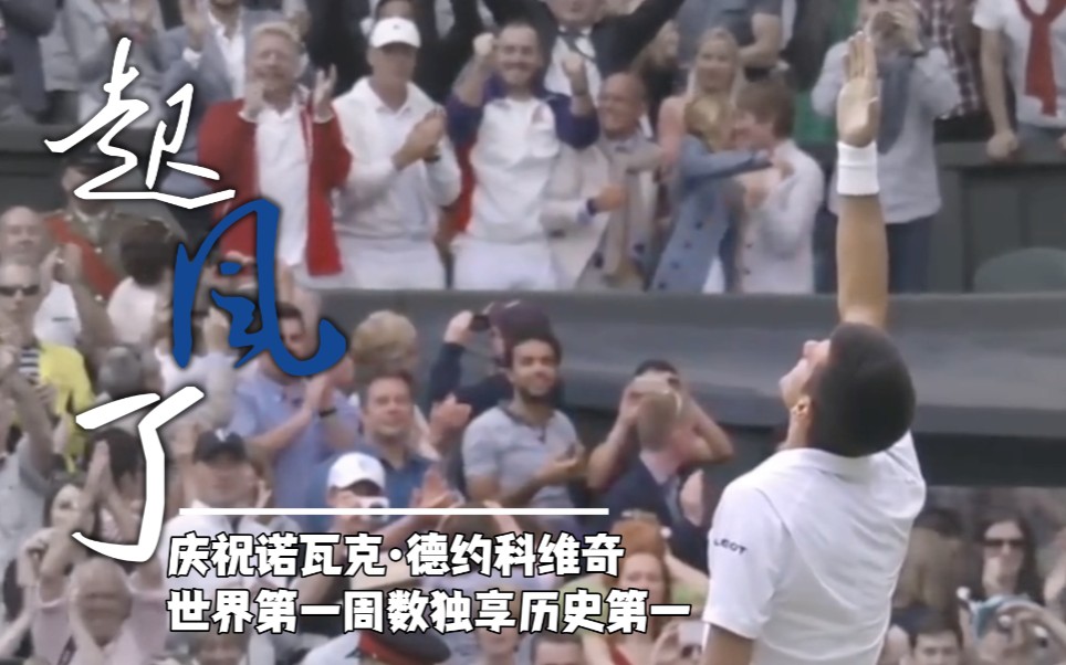 ...叫德约科维奇」‖庆祝德约科维奇世界第一周数独享历史第一‖起风了