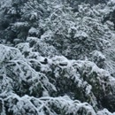 使命召唤罗耀特 