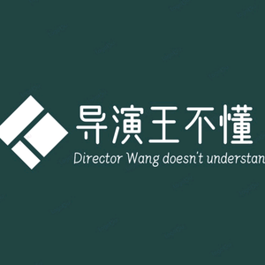 导演王不懂 