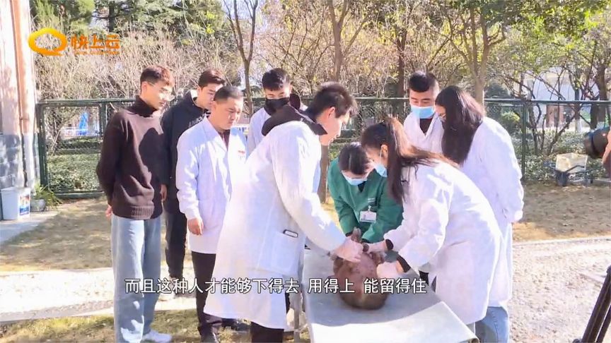 共建畜牧兽医专业群 助力畜牧业转型升级