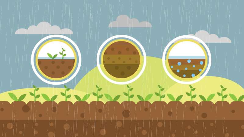 渍涝竟然受这些的影响