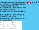 减数分裂与受精作用习题精炼——(第1讲)分裂图像及数量变化综合辨析