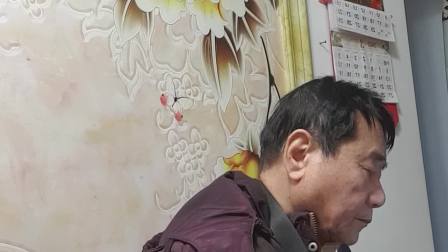 为董文华歌曲“梅花雪”伴奏