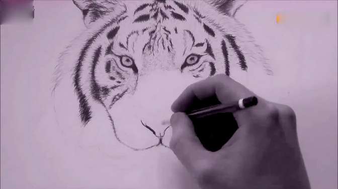 简笔素描教学,3分钟教你画一只老虎,超简单