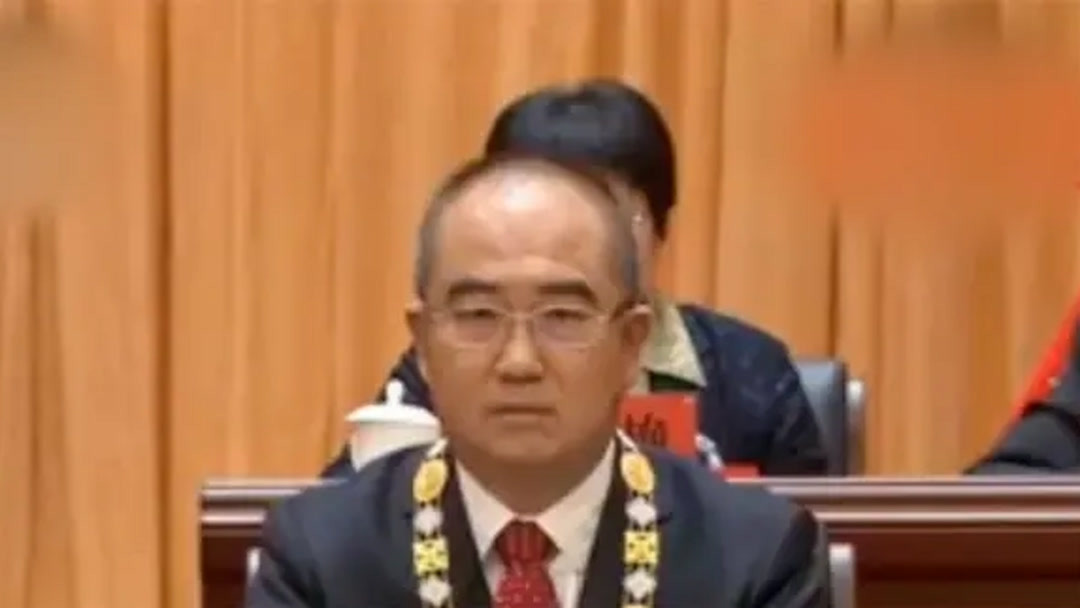 现场!武汉市举行抗击新冠肺炎疫情表彰大会 张定宇佩戴奖章出席