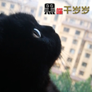 黑喵千岁岁 