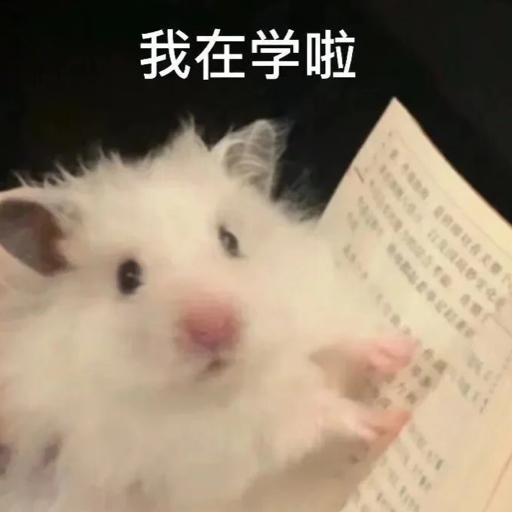 麻瓜也要上学啦 