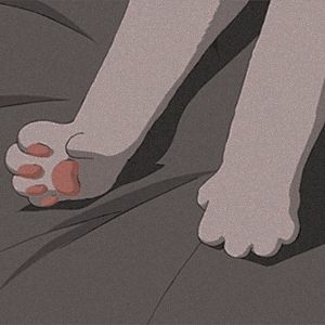 没给你打电话因为 