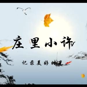 庄里小许 