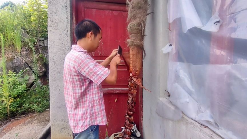 蔬菜种子这样储存,一张棕就搞定,看看农村阿斌怎么做的