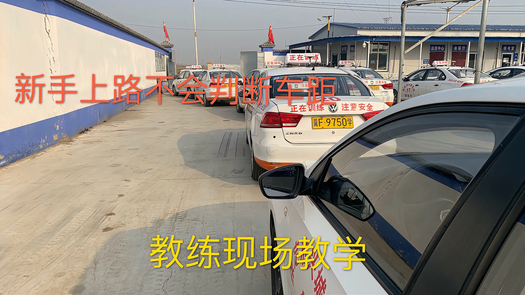 新手上路不会判断车距?教练现场教学,看懂科三不再难