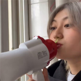 顾蚊子