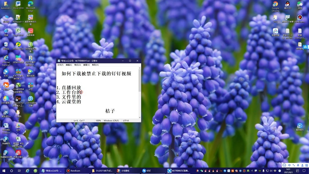 最新版钉钉直播回放下载使用教程