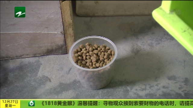 “飞天猫”砸中车 抛出还是想不开