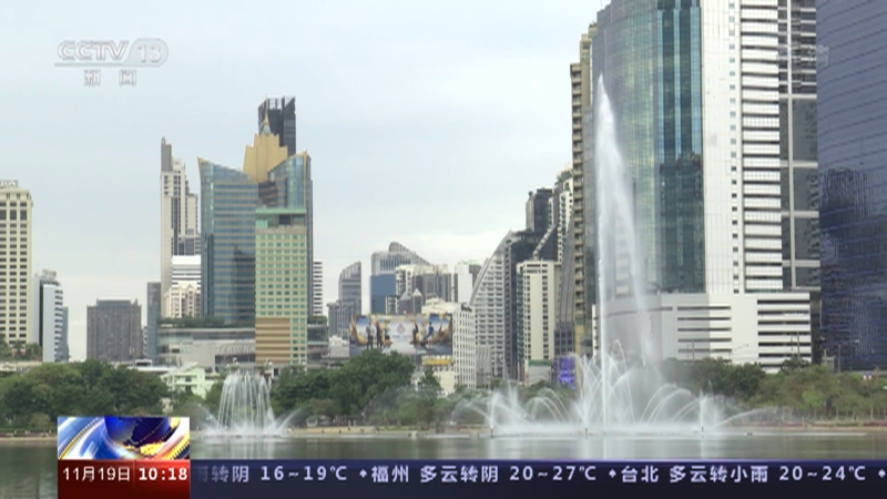 [新闻直播间]亚太经合组织第二十九次领导人非正式会议 多国人士:中国...