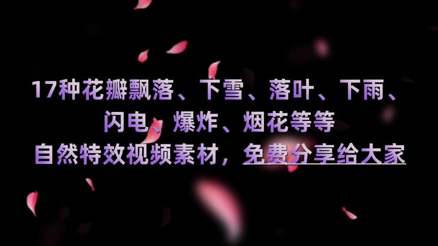 分享17个花瓣飘落、落叶、烟花、下雨、下雪、等特效视频素材