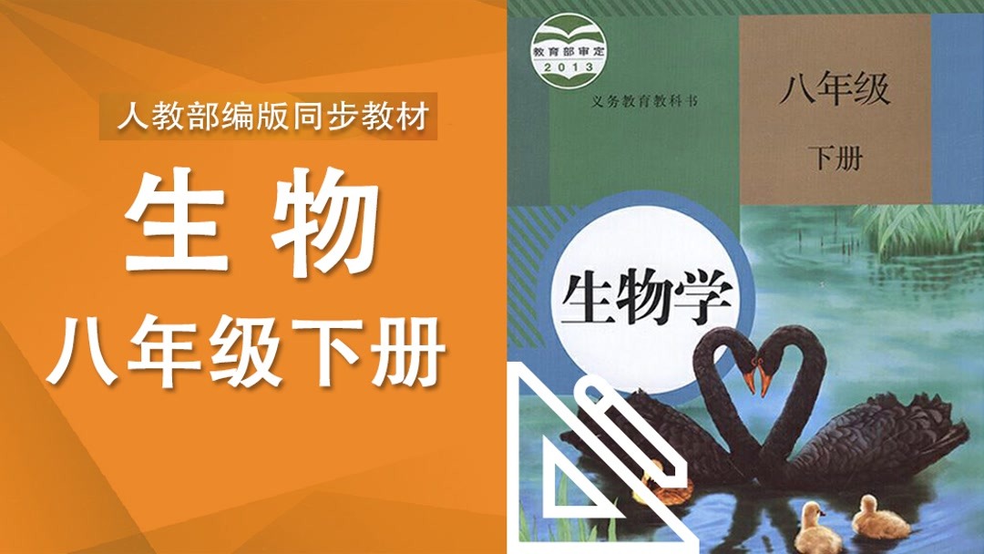 《生物进化的历程》2