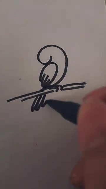 #无心之简笔画#数字画鸟