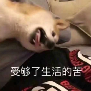 一个只会咕咕的up主 