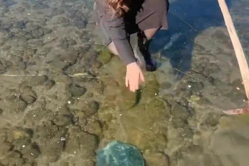来到村里的小河边,里面发现有玉石,这会是真的吗?
