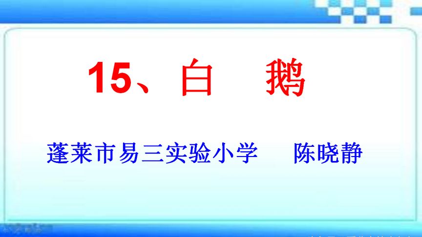 小学语文国家级优质课:《白鹅》鲁教版三年级下册教案视频课件