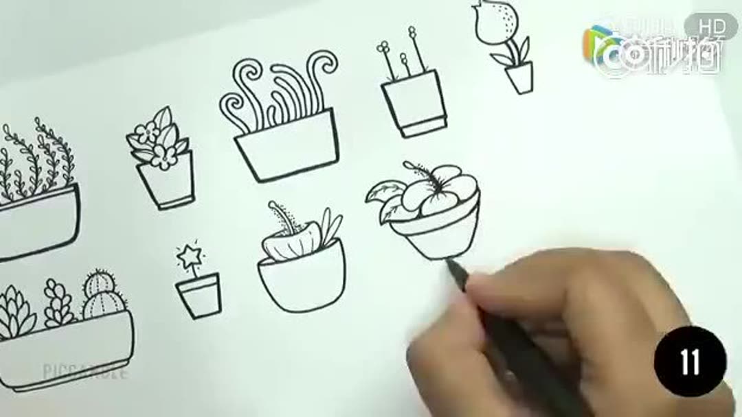 30种植物的画法 以后绝对用得到