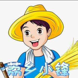 荔乡小锋 