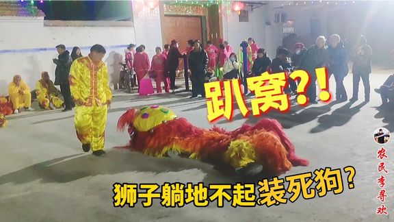农村过年舞狮队表演,狮子突然躺下不动了,看老师傅如何唤醒雄狮