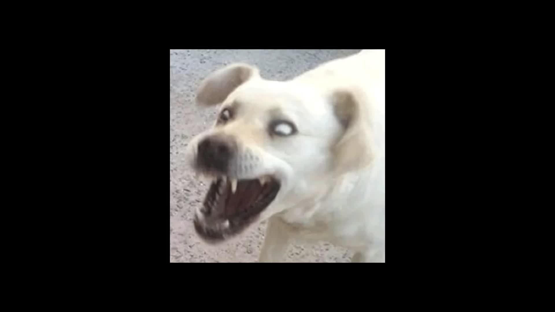 修脚模拟器:酋长来找我修脚!没想到他在脚上种树?