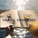 爱吃桔子の青阳月桂 