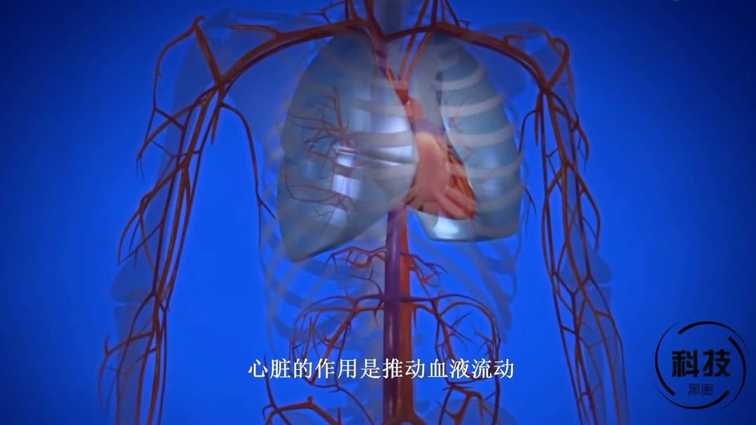 人死后, 人体的血液,最后都去了哪?终于知道它的变化了