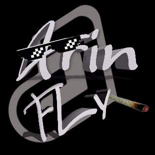 纸飞ArinFly 