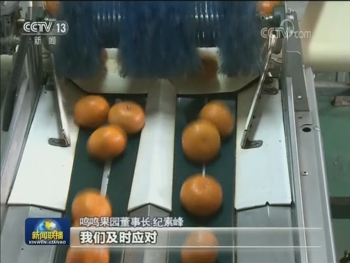 [视频]【在习近平新时代中国特色社会主义思想指引下——育新机 开新...