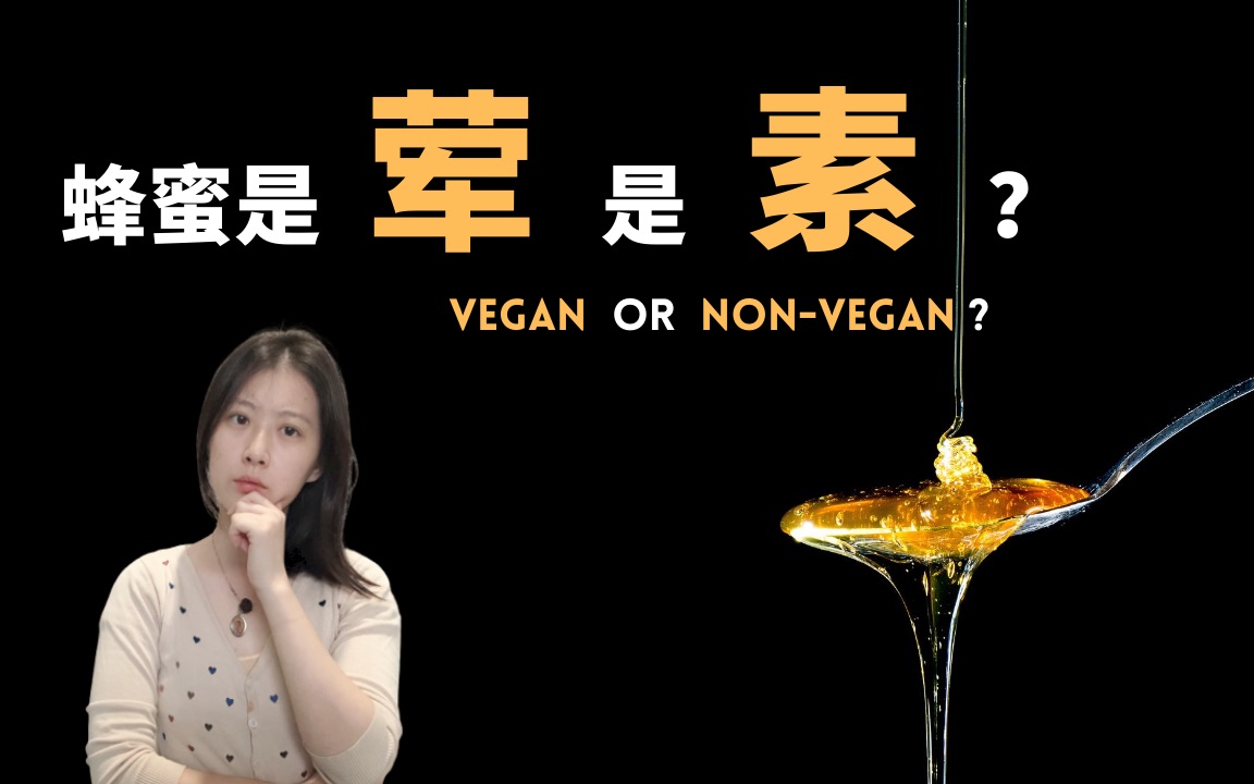 ...消失?带你了解商业蜂蜜生产的真实过程 以及如何找到无暴力的蜂蜜