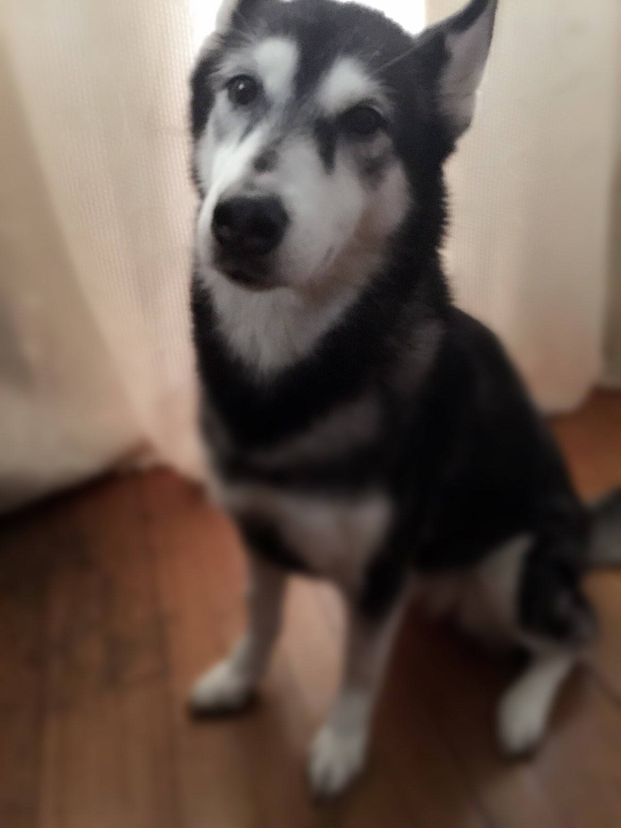 如约而至看娱乐 