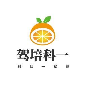 驾考教练员学车 