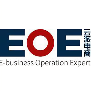 广东云派电商 