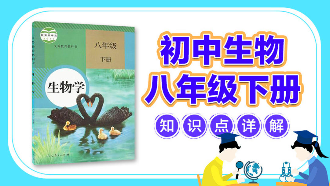 13.生物进化的历程
