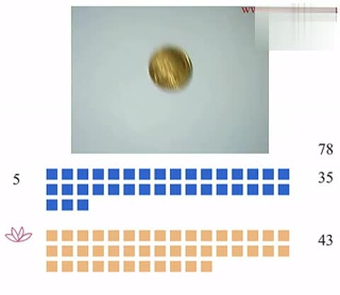 古典概率模型抛硬币 classical models probability