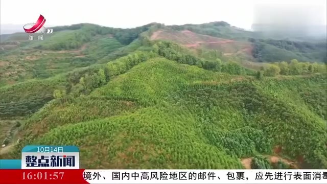 江西省印发《关于科学绿化的实施意见》