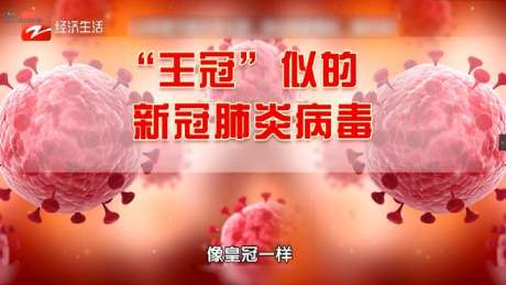 新冠肺炎直径和小米的区别,新冠病毒竟然这么小