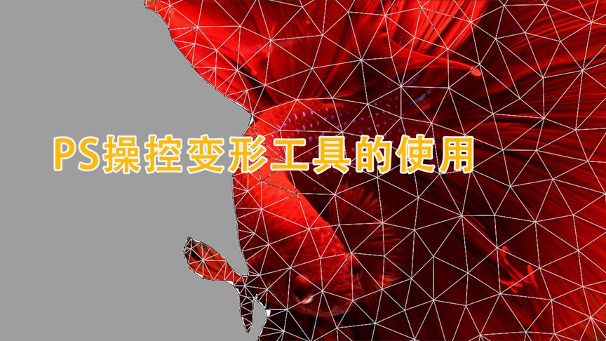 PS图片融合技巧-操控变形工具的使用方法-“学浪计划”
